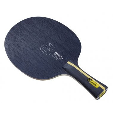 Tafeltennisbatje voor beginners Inizio ALL Table+ 2 Good Andro
